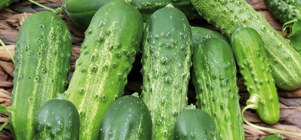 Doctors Reveal What Really Happens When You Eat Cucumber in Salads ...